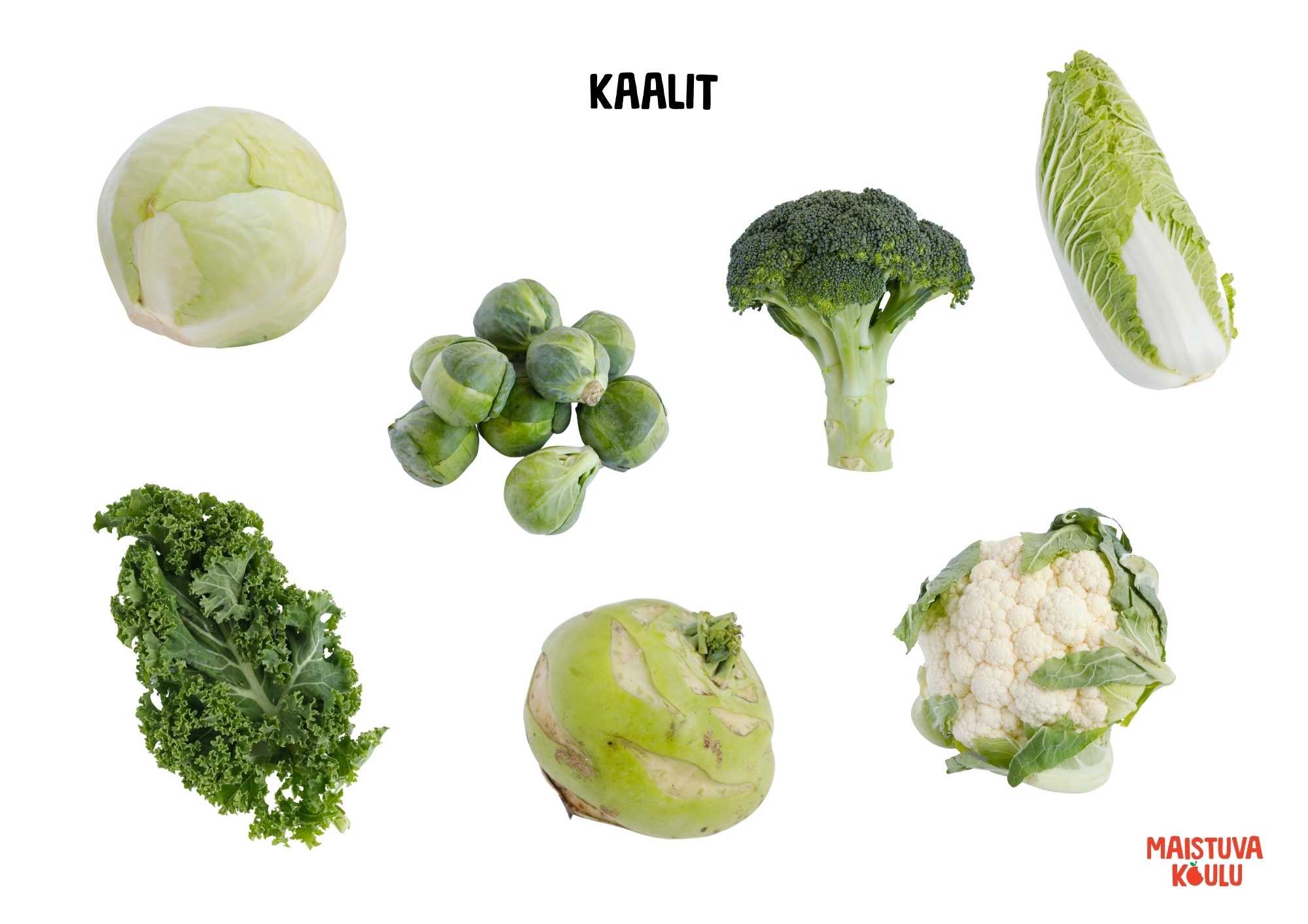 Missä kasvis kasvaa? - Maistuva koulu